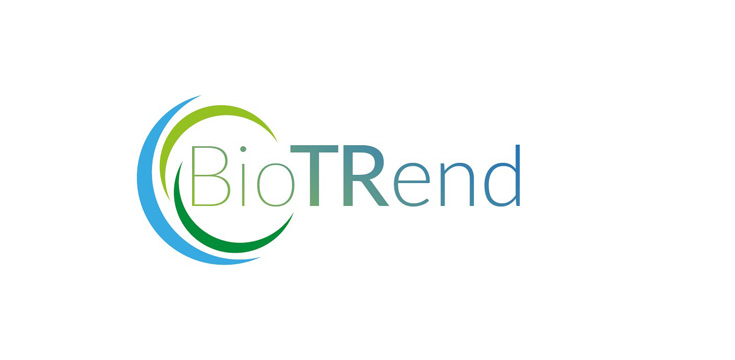 Biotrend Enerji 2024 2. Çeyrek Bilanço Analizi / Halk Yatırım - (26.09. ...